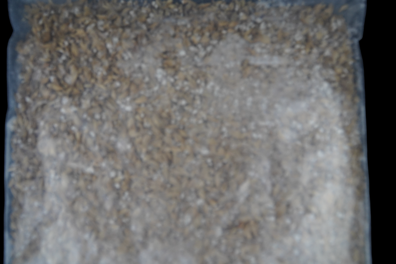 Milled Irish Distilling Malt- 5lbs | High Quality | Mile Hi Distilling