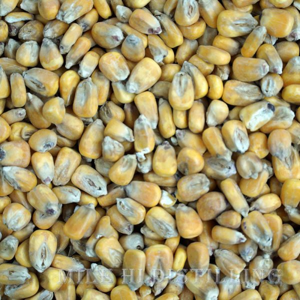 Distilling Grains Corn Malt Malted Corn For Sale | Mile Hi Distilling